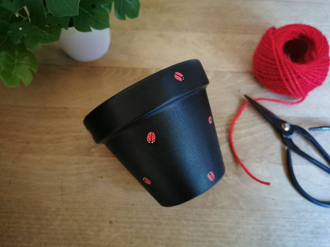 Ladybird Terracotta Plant Pot Hand Painted Ladybug Flower - Etsy