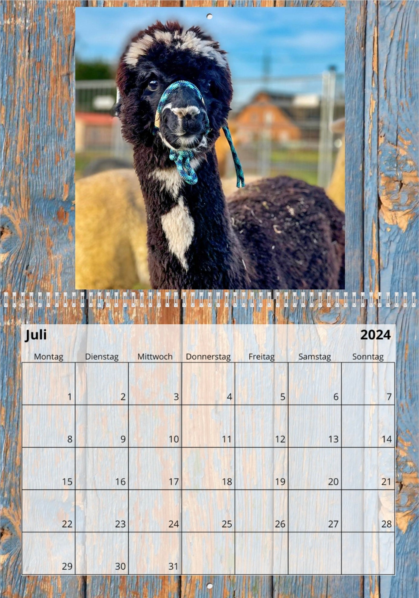 Alpaca Calendar 2024 - Etsy