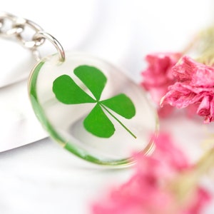 Real Pressed Four Leaf Clover Silver Keyring. Lucky Resin Ring Key ...