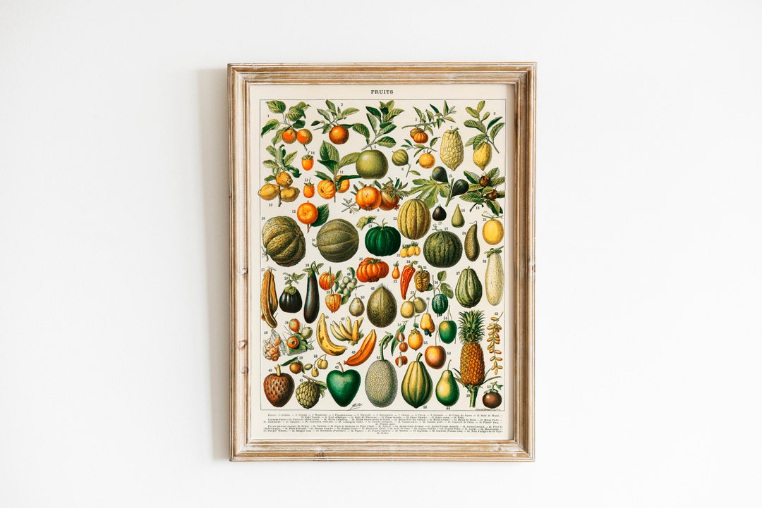 Vintage Fall Illustration Vintage Fall Poster Vintage Pumpkin Print ...