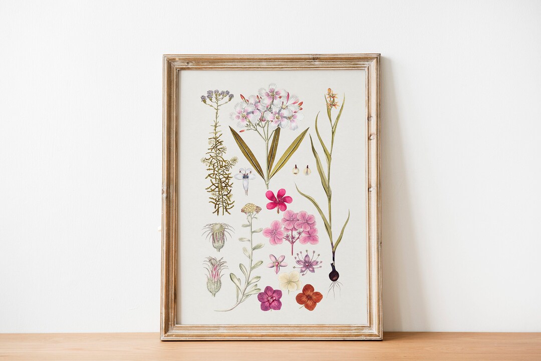 Spring Wildflowers Poster | Vintage Botanical Print | Antique Floral ...