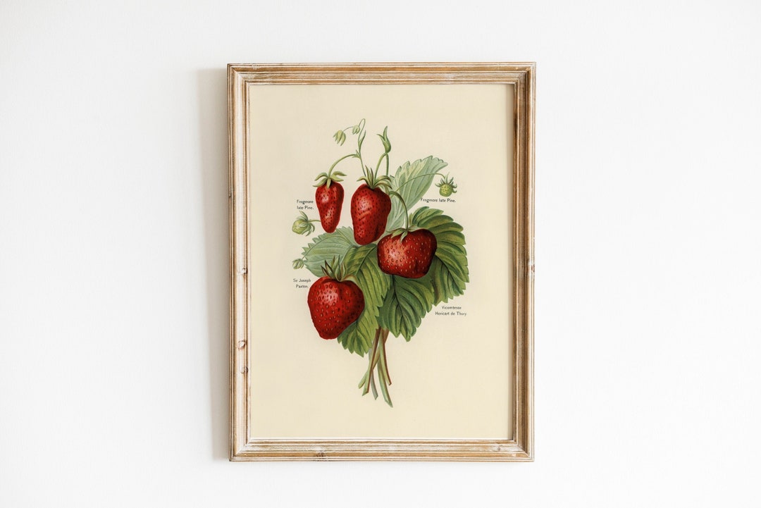 Vintage Strawberry Print | Vintage Fruit Print | Strawberry Botanical ...