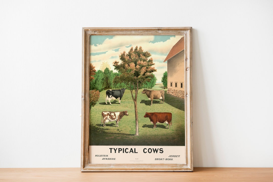 Typical Cows Poster Rustic Farmhouse Decor Farm Animals Vintage Poster ...