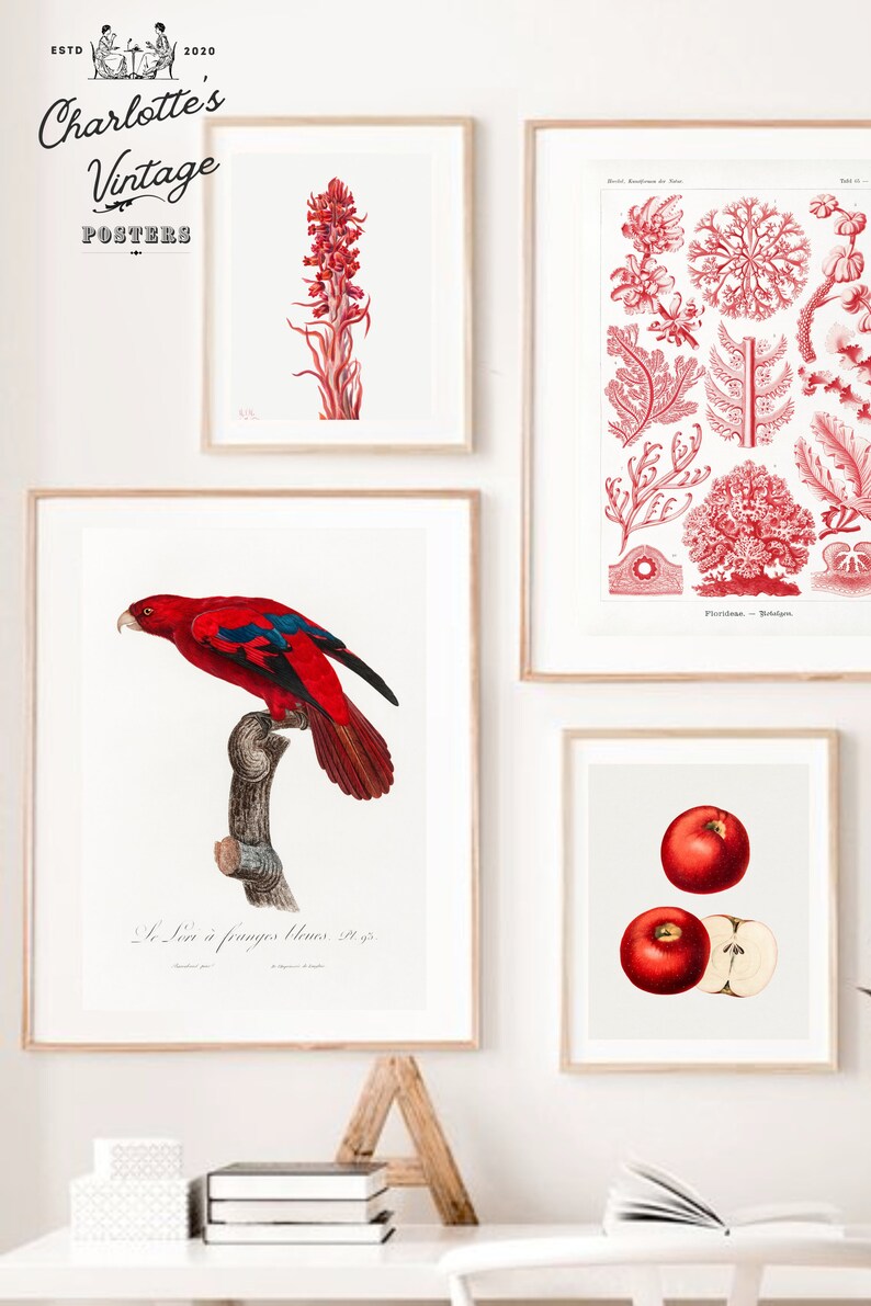 Printable Vintage Art Red Poster Set Color Theory Wall Art Red Color ...