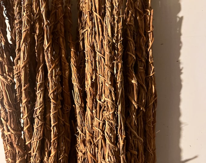 Vetiver LIVE PLANT Vetiver Zizanioides Ayurvedic Plant - 4" Pot - Etsy