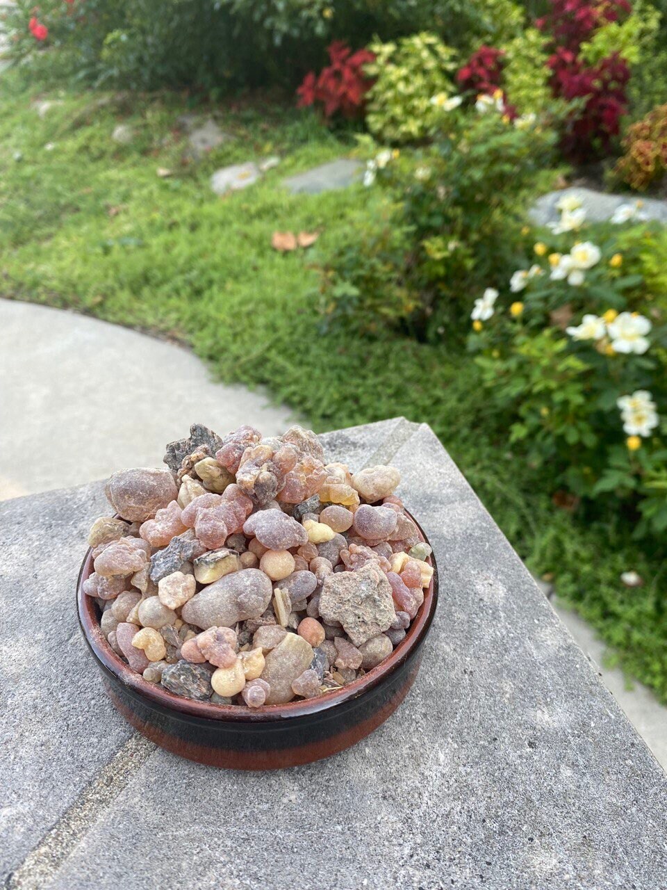 AUTHENTIC AFRICAN Frankincense/oliban/olibanum Incense,barkhanté From ...