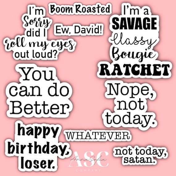 The Attitude Sticker Pack Funny Rude Waterproof Water | Etsy