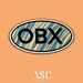 OBX Sticker Pack, Outer Banks, OBX, Waterproof, Water Bottle, VSCO ...