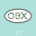OBX Sticker Pack, Outer Banks, OBX, Waterproof, Water Bottle, VSCO ...