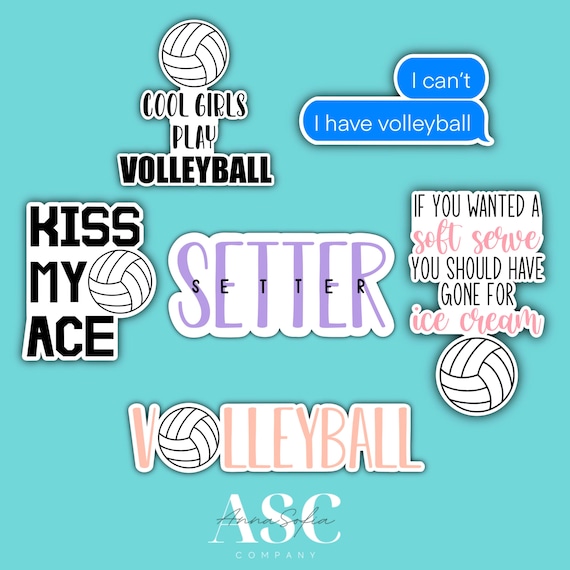 Setter Volleyball Quotes