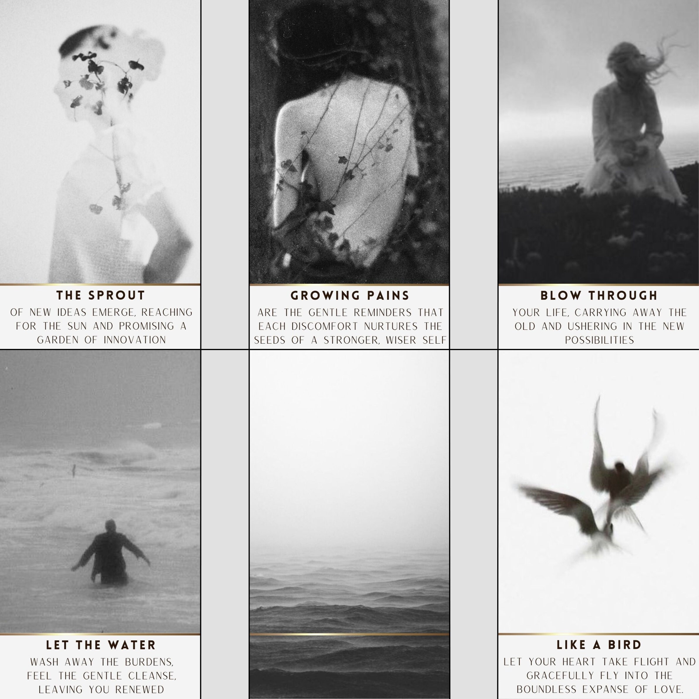 Intuition Oracle Card Deck 55 Cards Black and White - Etsy