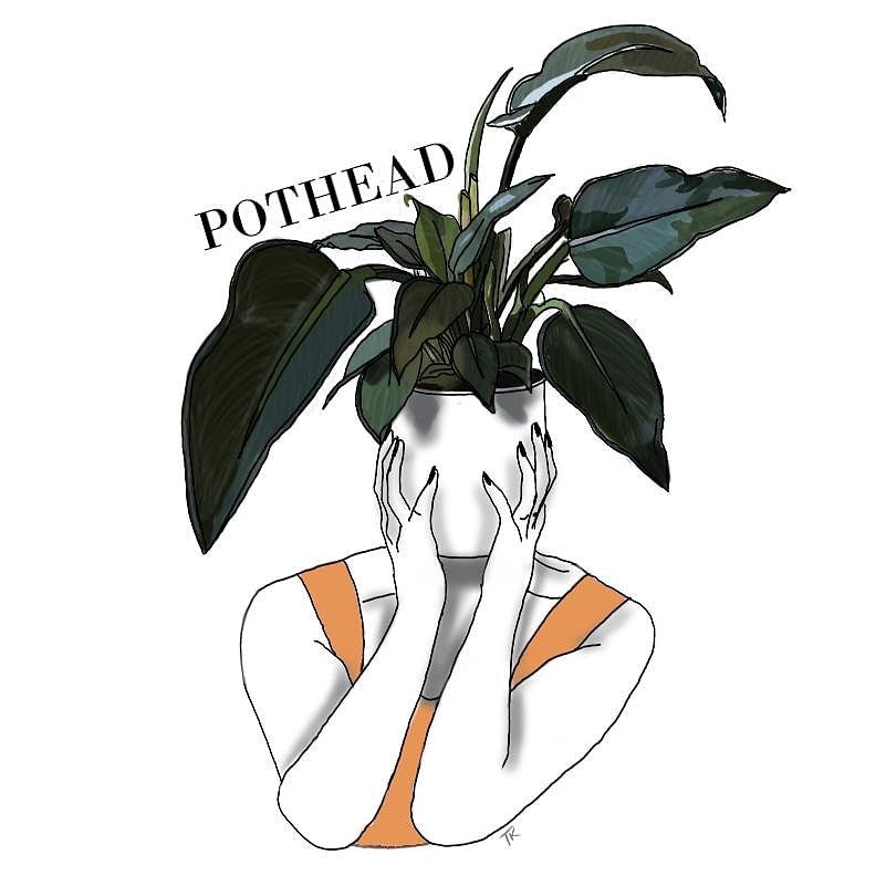 Pothead Sticker - Etsy