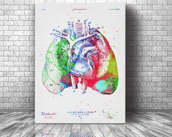 Human Physiology Poster - Etsy