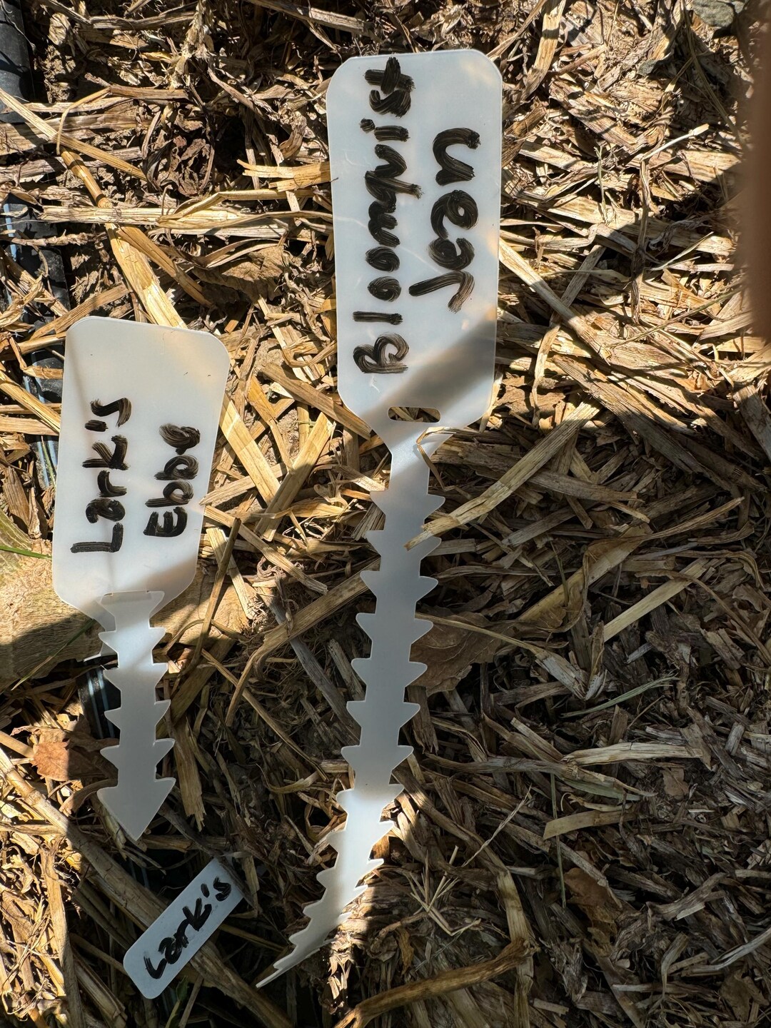 Cut File for Reuseable Plant Tags - Etsy