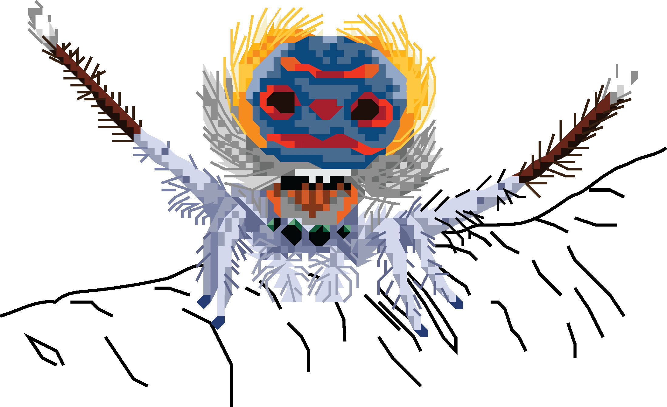 Peacock Jumping Spider Cross Stitch Pattern - Etsy