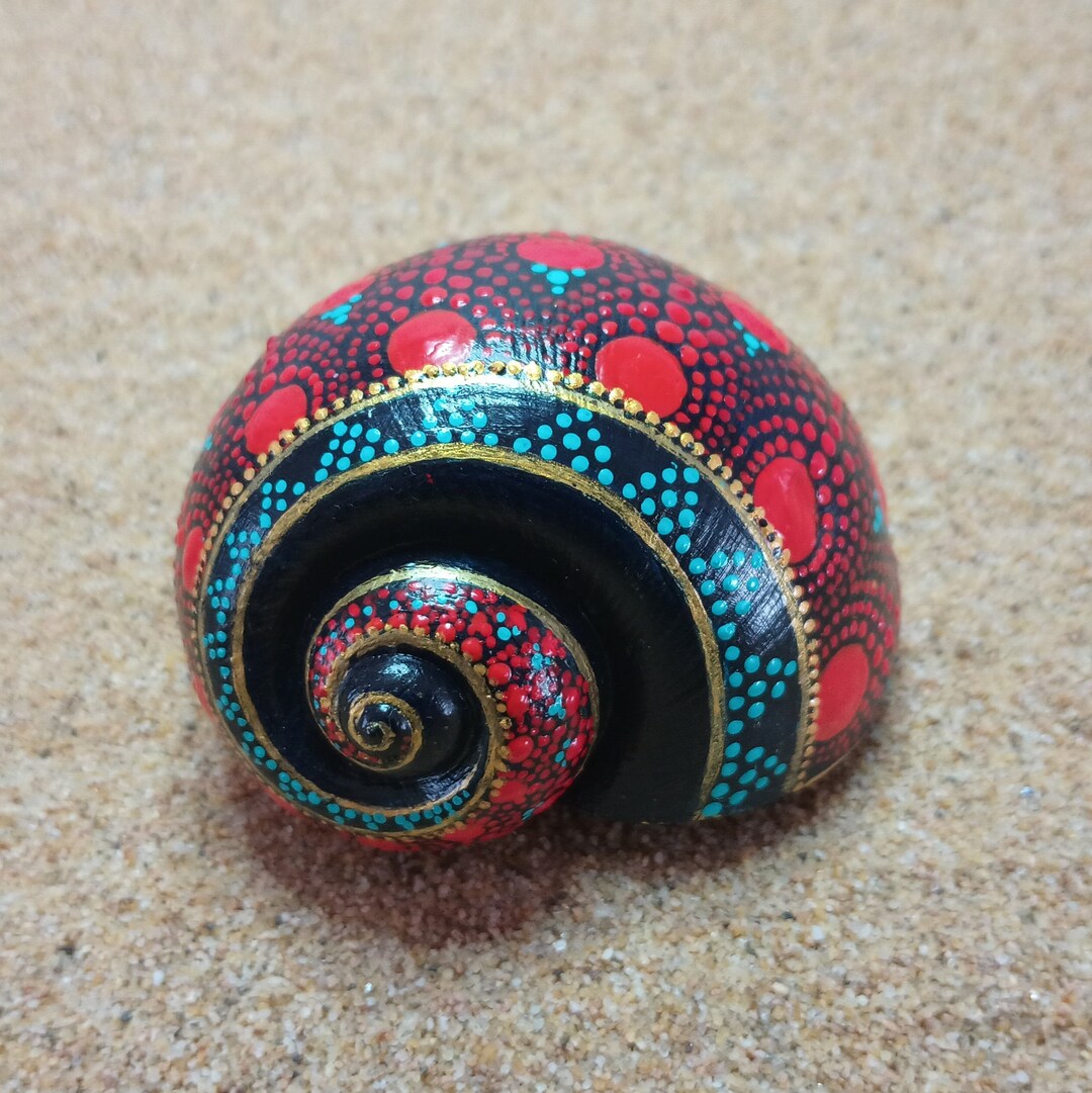 Red Sea Snail - Etsy