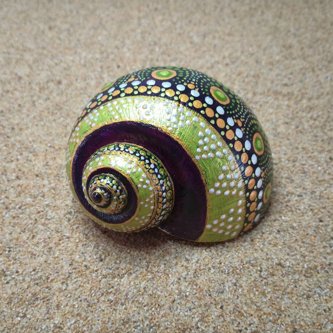 Green Sea Snail Shell - Etsy