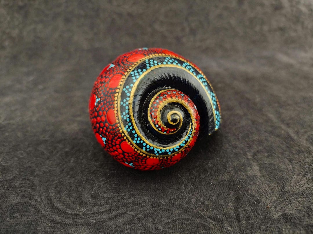 Ruby Red Sea Snail Spiral Shell - Etsy