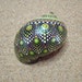 Green Sea Snail Shell - Etsy