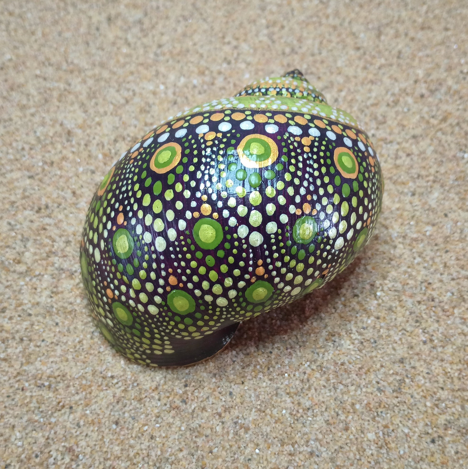 Green Sea Snail Shell - Etsy