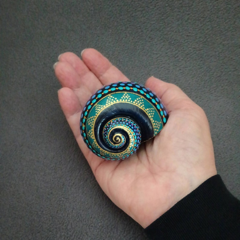 Turquoise, Indigo, and Purple Sea Snail Shell - Etsy