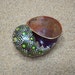 Green Sea Snail Shell - Etsy