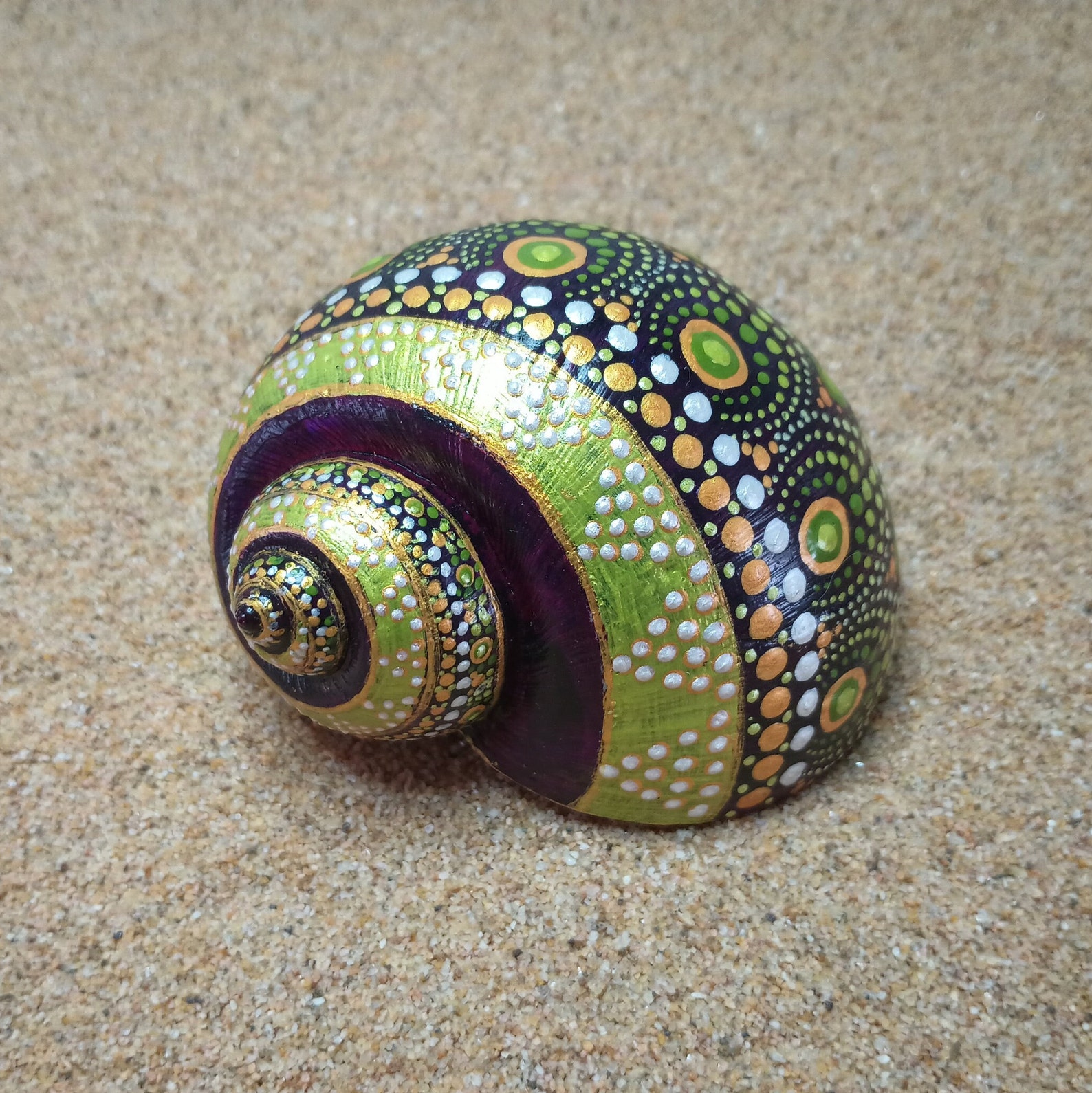 Green Sea Snail Shell - Etsy