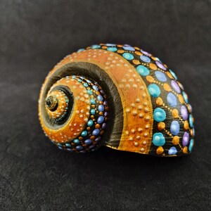 Brilliant Gold Sea Snail Spiral Shell - Etsy