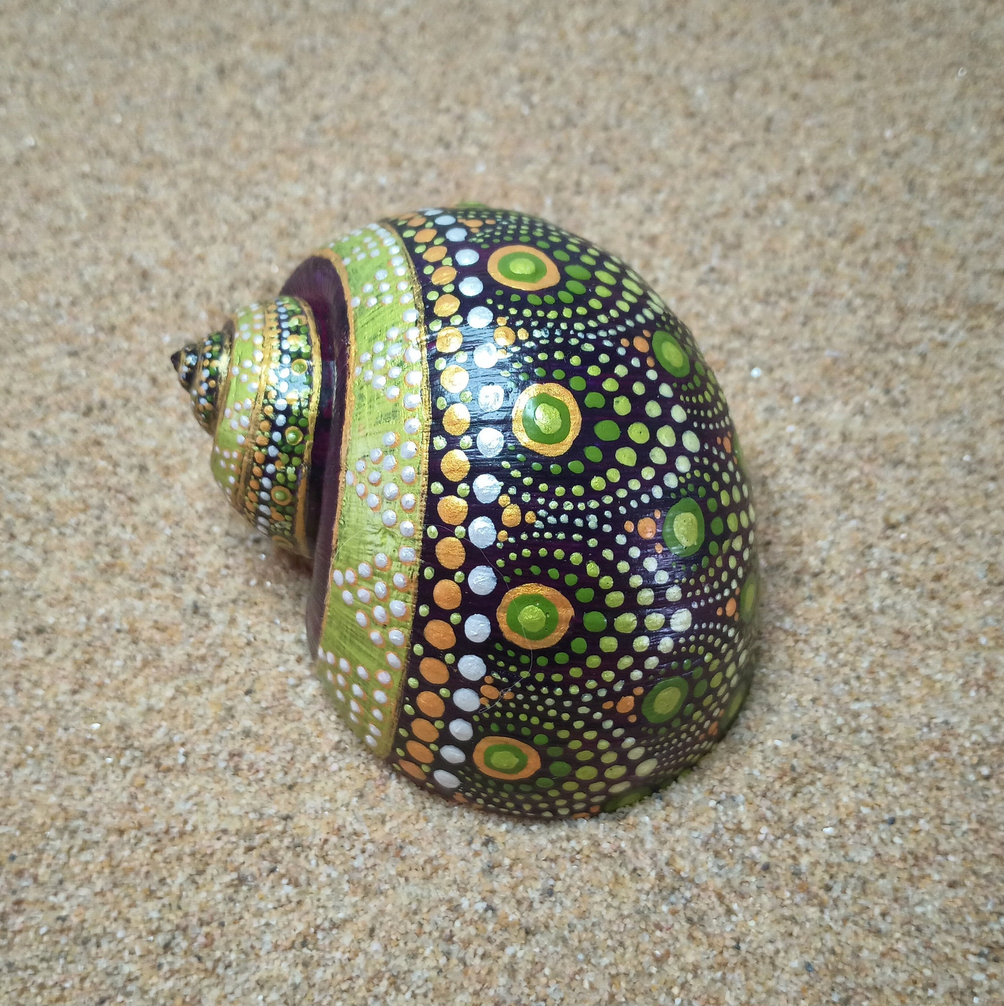 Green Sea Snail Shell - Etsy