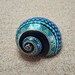 Turquoise, Indigo, and Purple Sea Snail Shell - Etsy