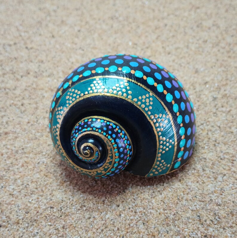 Turquoise, Indigo, and Purple Sea Snail Shell - Etsy