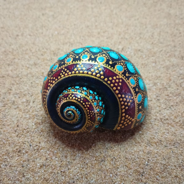 Turquoise Sea Shell - Etsy