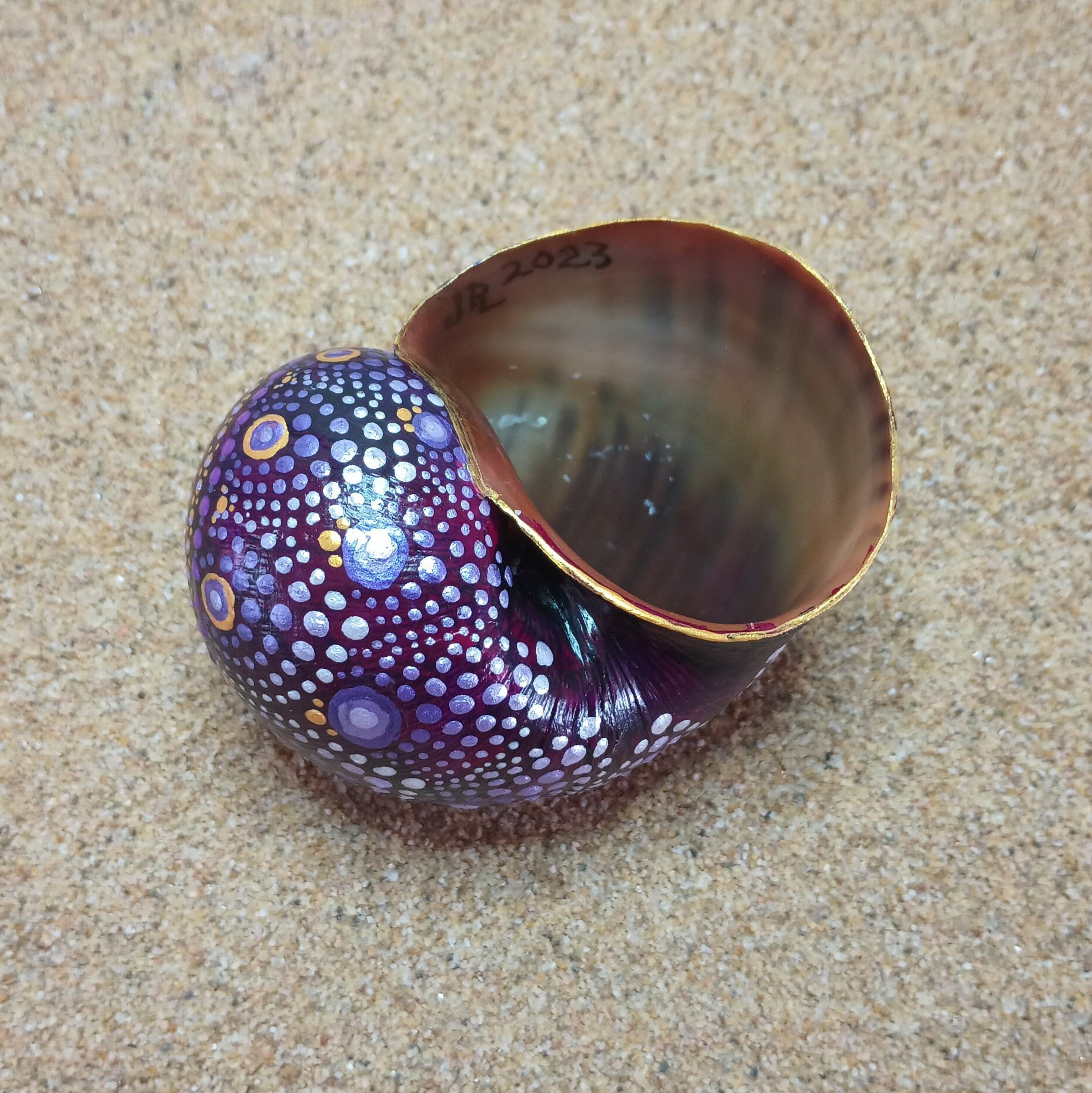 Purple Sea Snail Shell - Etsy