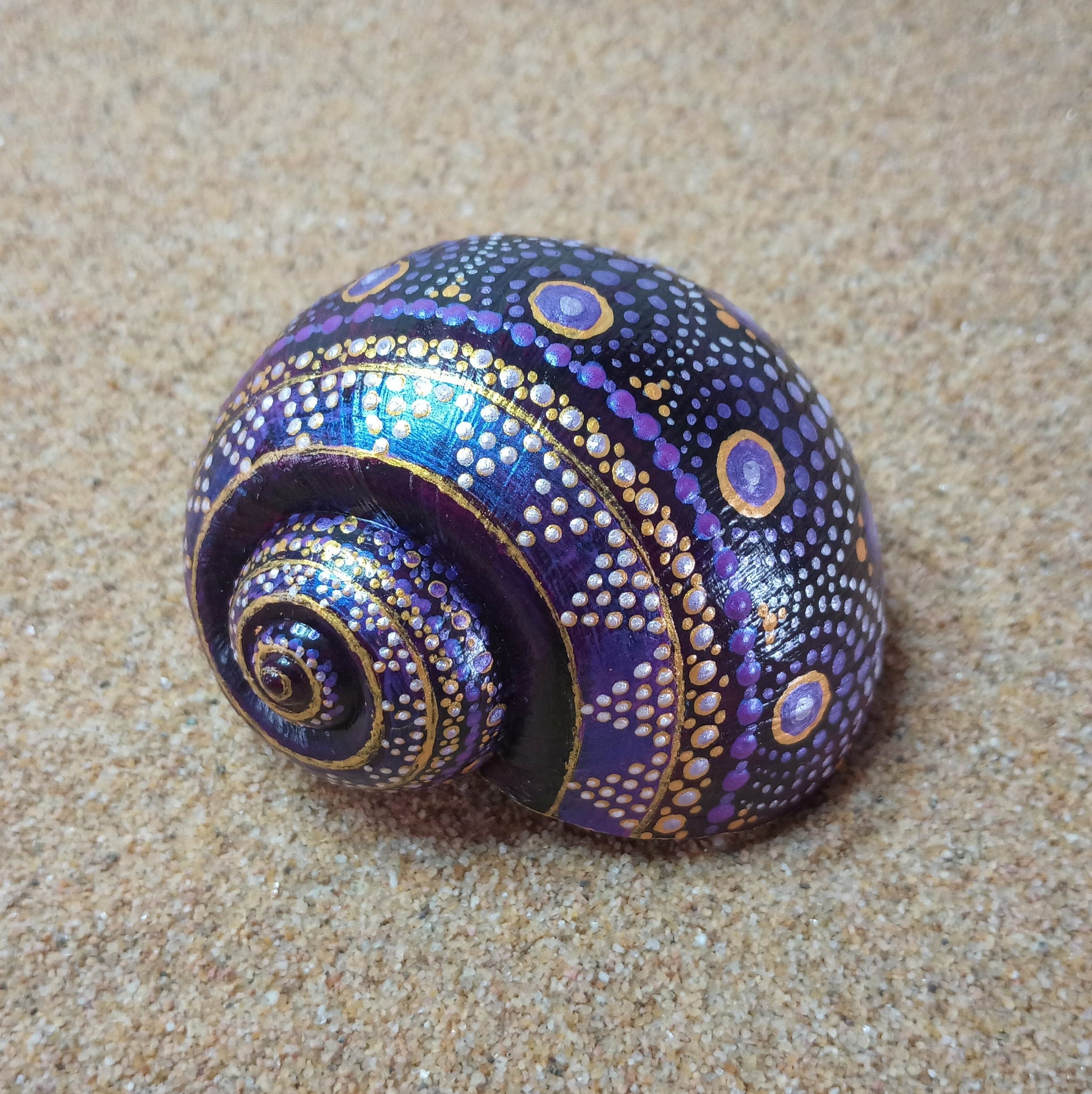 Purple Sea Snail Shell - Etsy