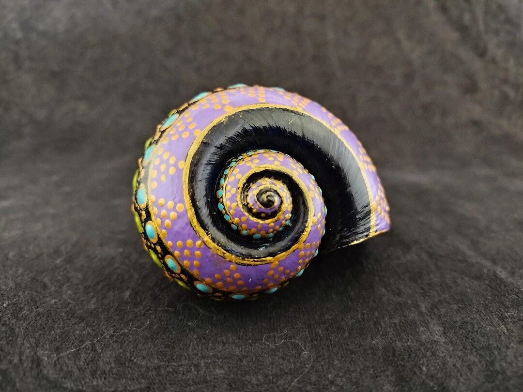 Chakra Sea Snail Spiral Shell - Etsy