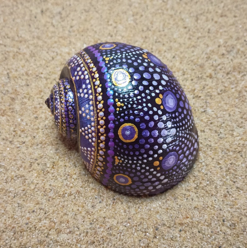 Purple Sea Snail Shell - Etsy
