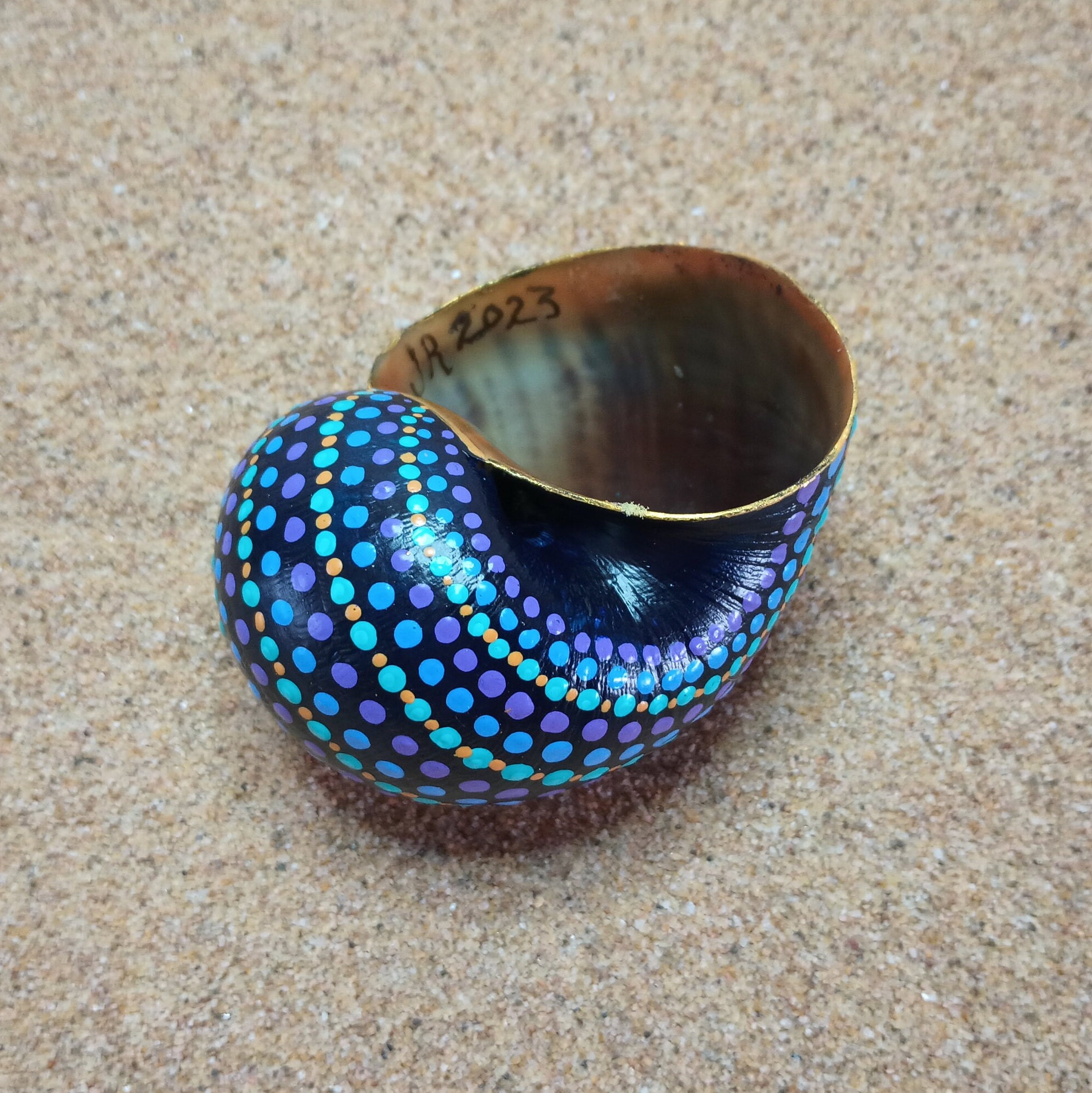 Turquoise, Indigo, and Purple Sea Snail Shell - Etsy