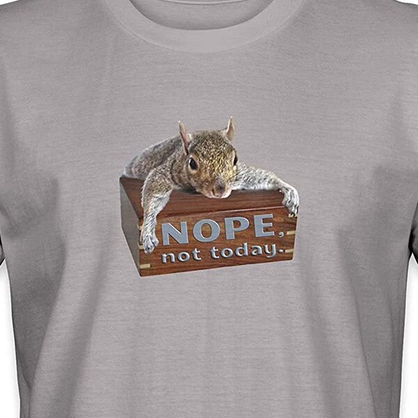 Squirrel T Shirt - Etsy