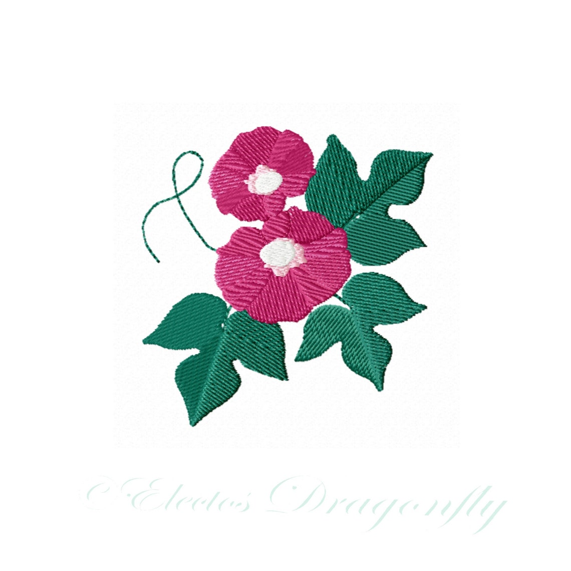 Morning Glories -2 Sizes and Variations -machine Embroidery Design - Etsy