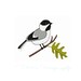 Chickadee -machine Embroidery Design - Etsy