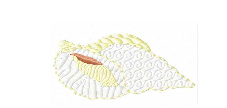 Seashell -machine Embroidery Design - Etsy