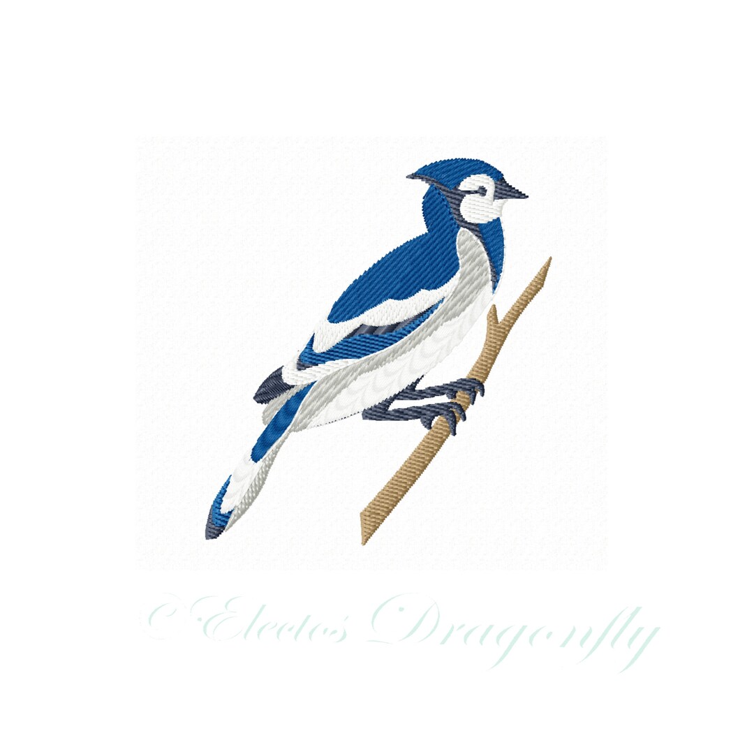 Blue Jay -machine Embroidery Design - Etsy