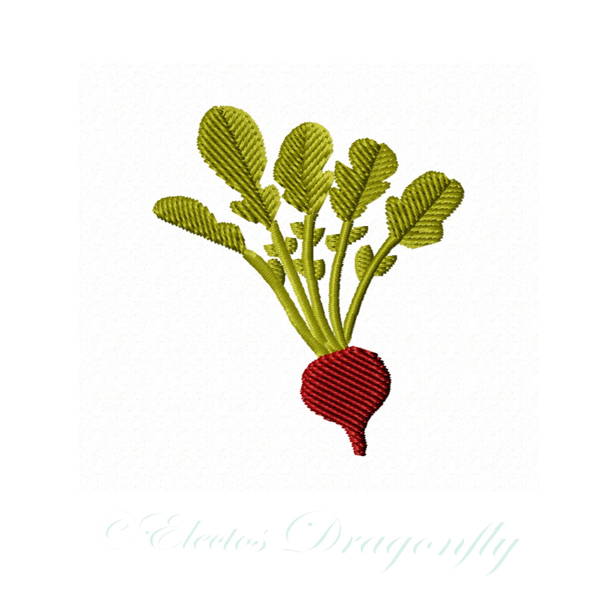 Radish With Greens -machine Embroidery Design - Etsy