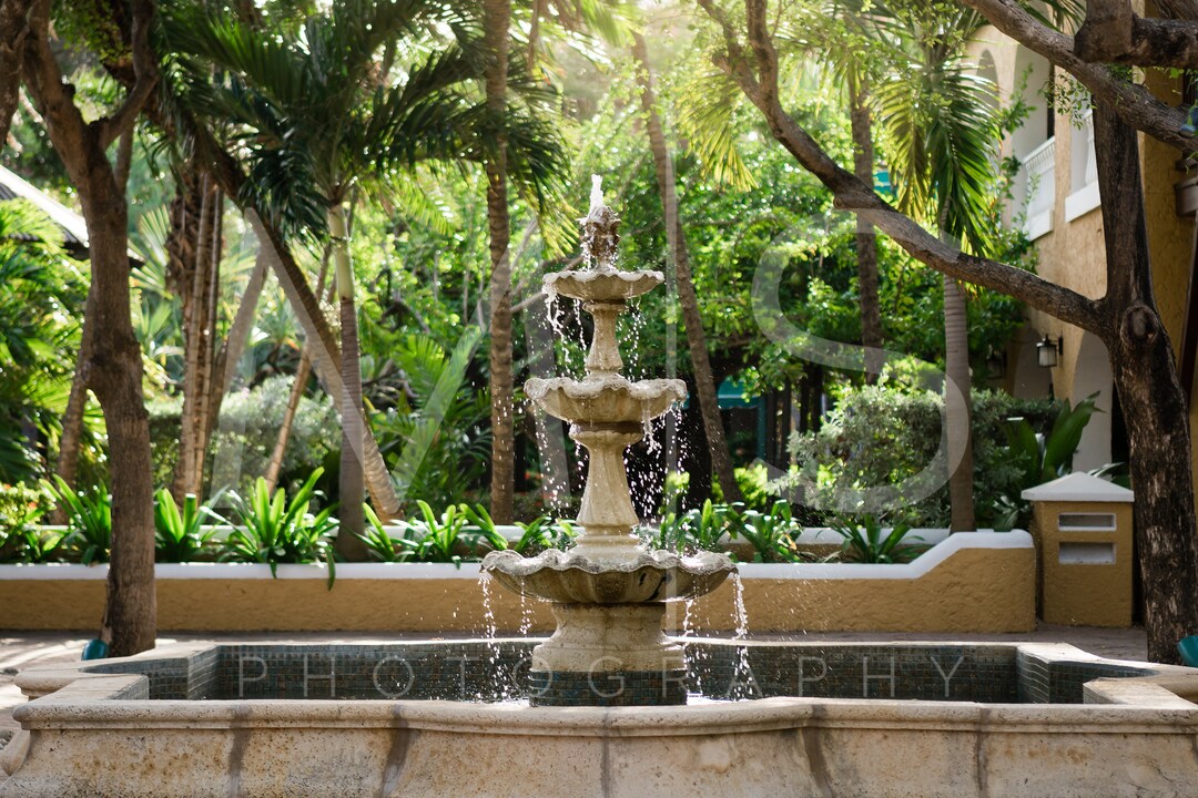 5 Fountain Digital Backdrop Set Backlit Jungle Fountain Photography ...