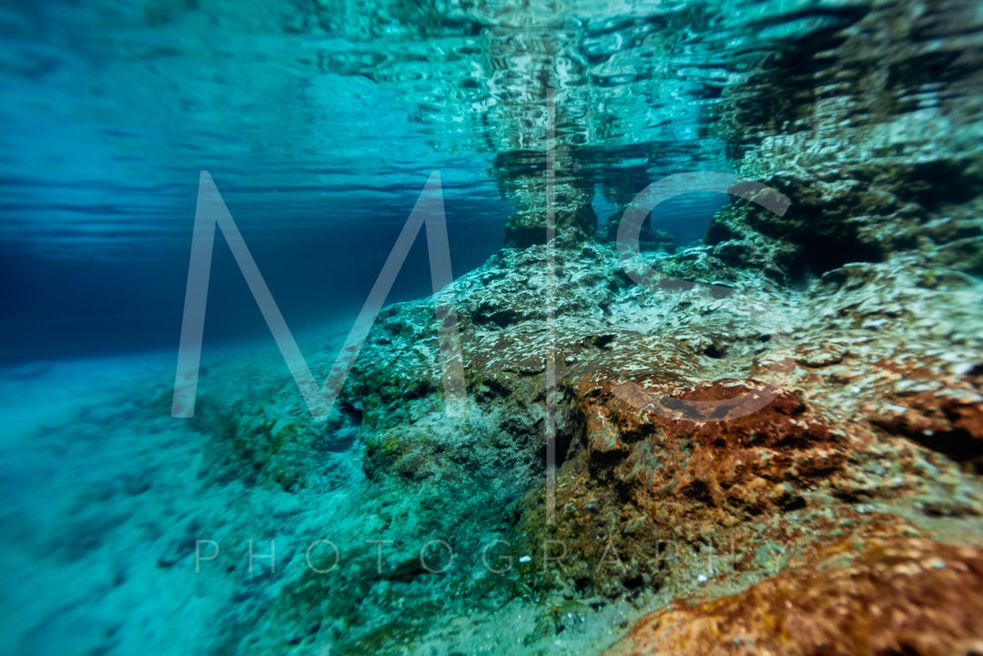 5 Pack Underwater Florida Springs Digital Background Blue Underneath ...