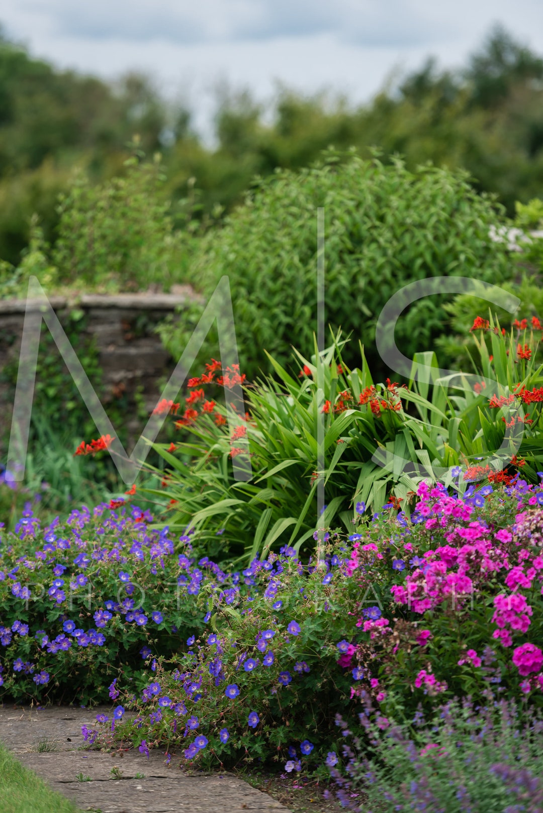 English Garden Digital Background Floral Garden Red Pink Violet Flowers ...