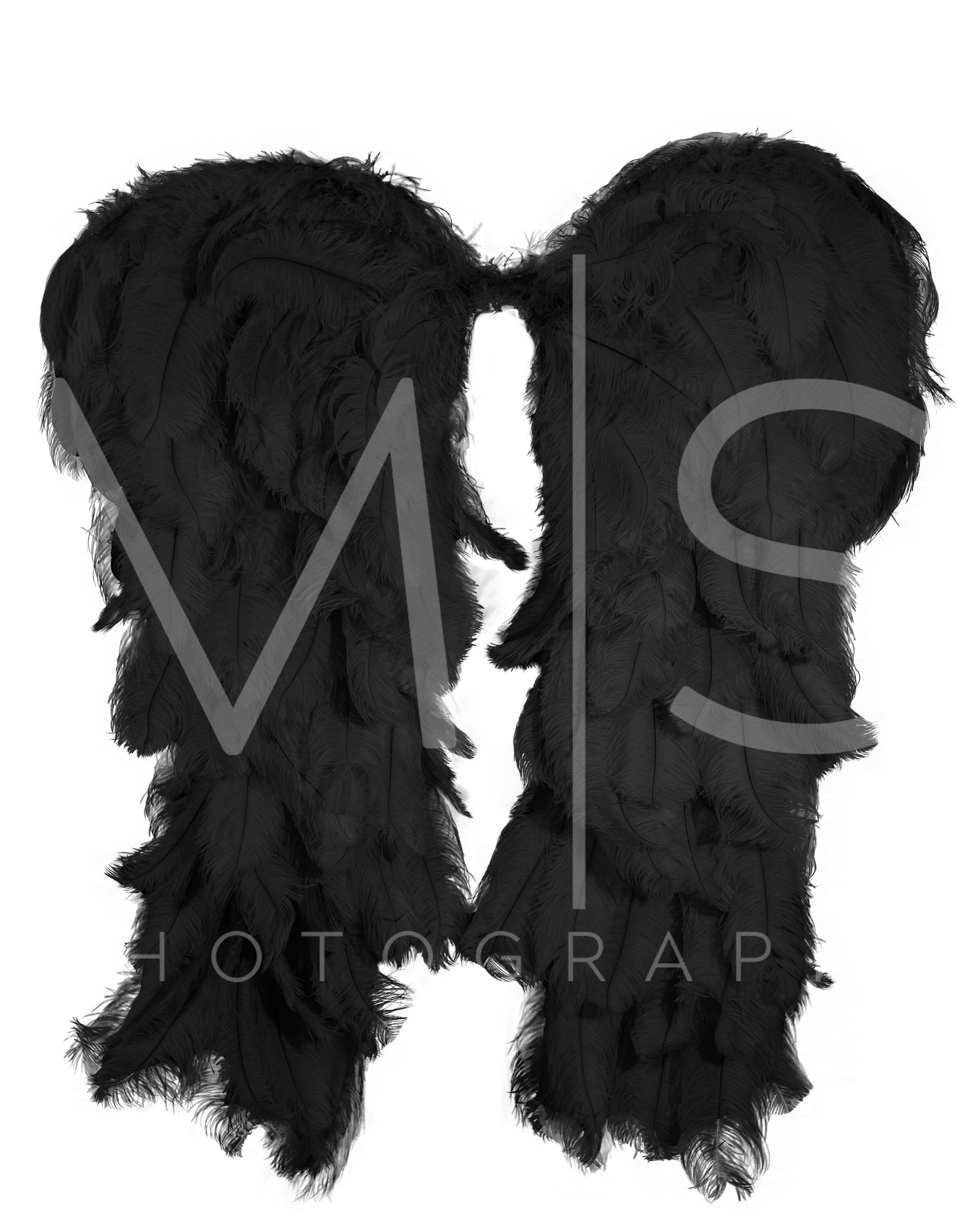 Black Feather Wings Png