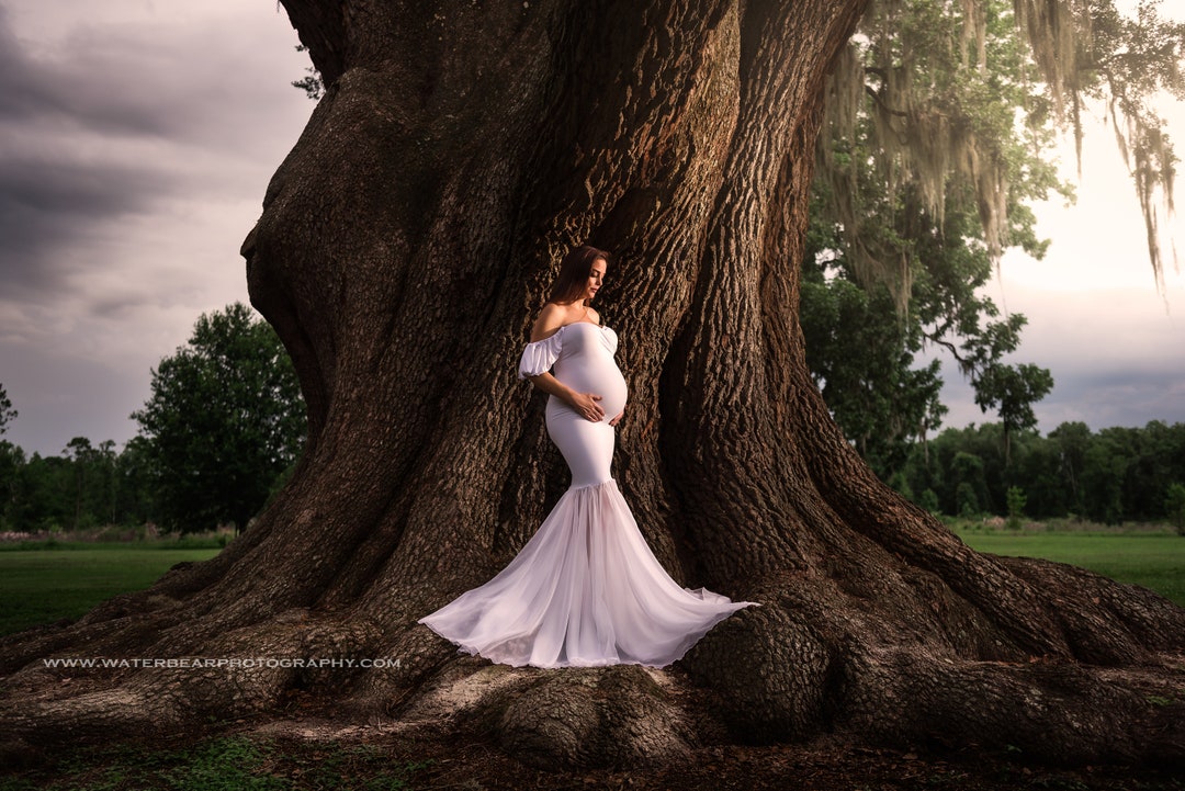 Huge Oak Tree Digital Background Big Tree Brown Tree Backdrop ...