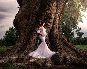 Huge Oak Tree Digital Background/backdrop for Photographer - Etsy