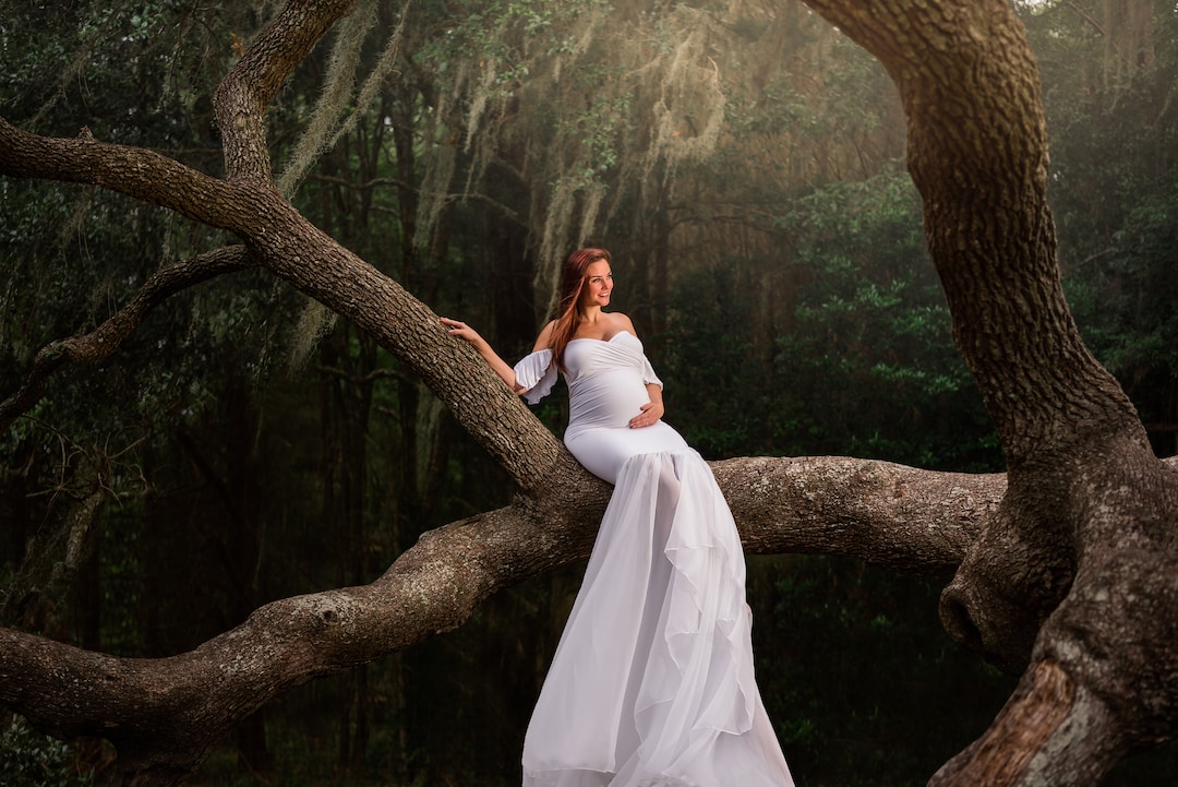 Huge Oak Tree Branch Digital Background Oak Tree Enchanting Forest ...